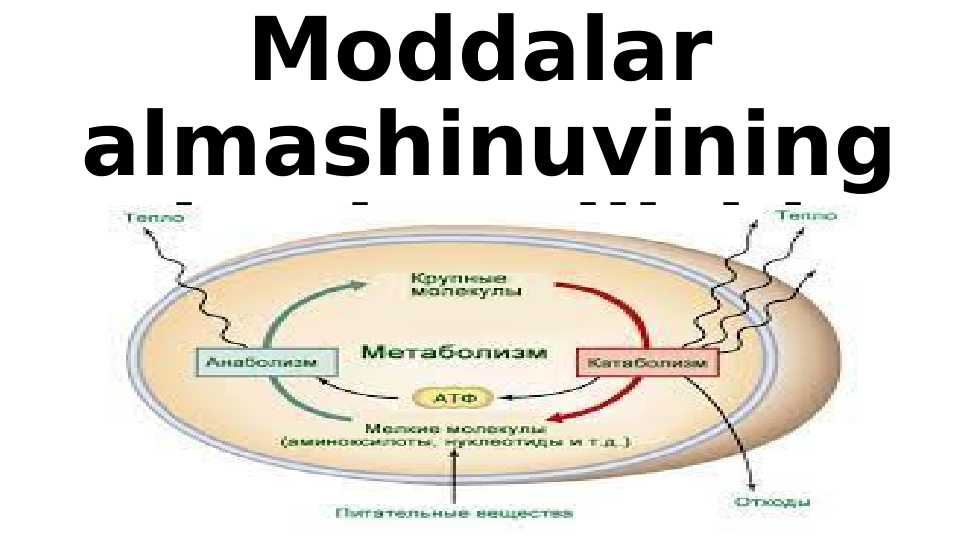Moddalar almashinuvining boshqarilishi