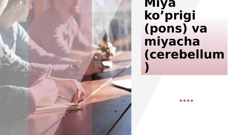 Miya ko'prigi va miyyacha