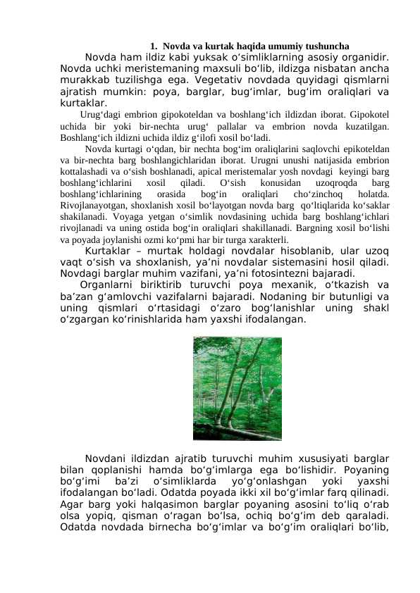 Novda va kurtak haqida umumiy tushuncha