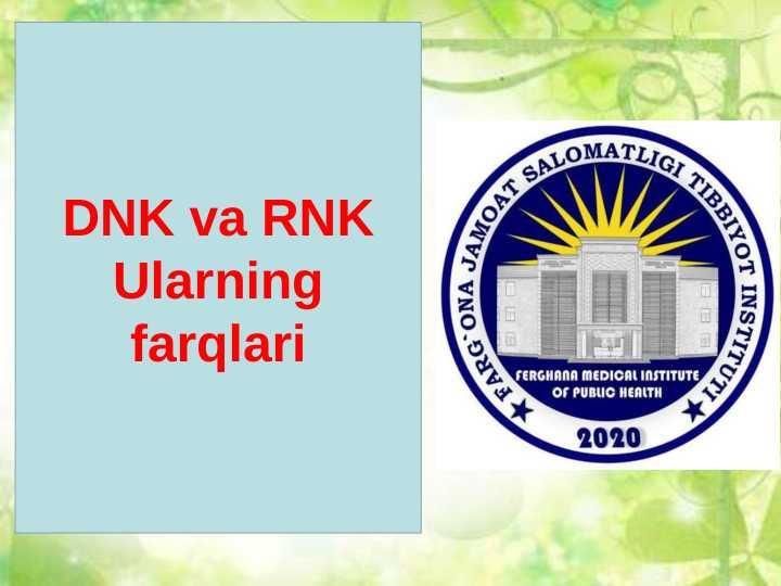 DNK va RNK. Ularning farqlari