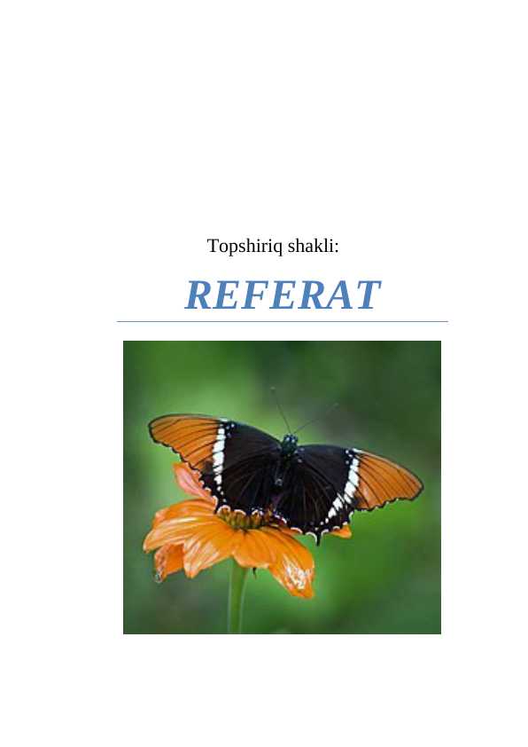 Tasavvuf tariqatlari va undagi komil inson haqidagi qarashlar.