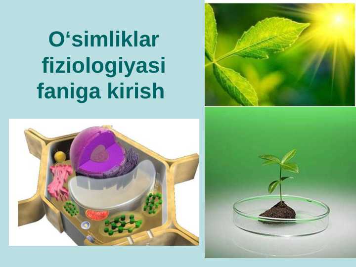 O‘simliklar fiziologiyasi faniga kirish
