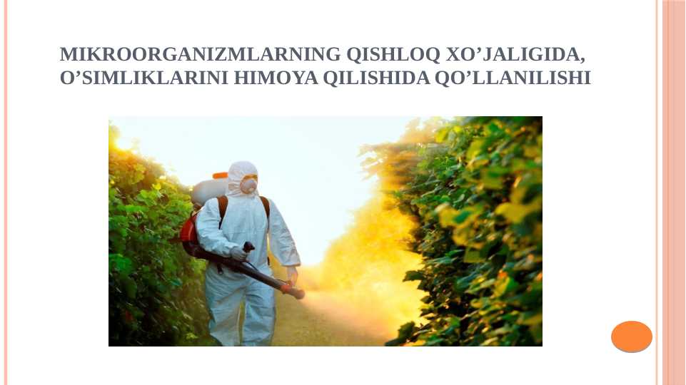 Mikroorganizmlarning qishloq xo’jaligida, o’simliklarini himoya ...