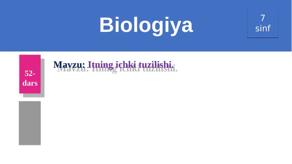 Itning ichki tuzilishi