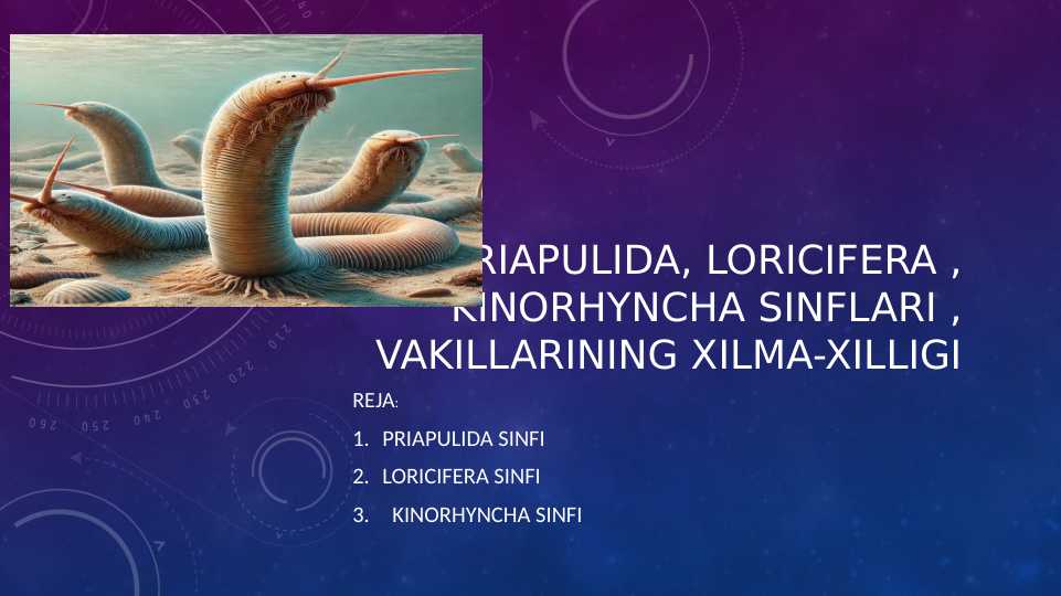 Priapulida_loricifera_kinorhyncha_sinflari_vakillarining_xilma