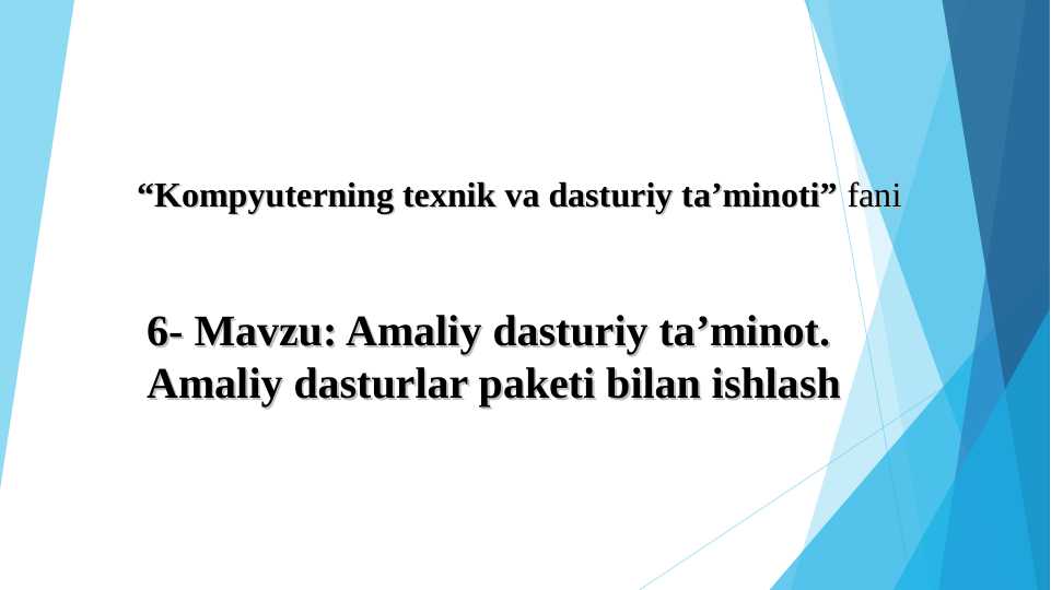 Amaliy dasturiy ta’minot. Amaliy dasturlar paketi bilan ishlash