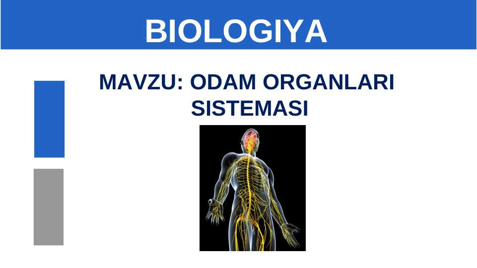 ODAM ORGANLARI SISTEMASI