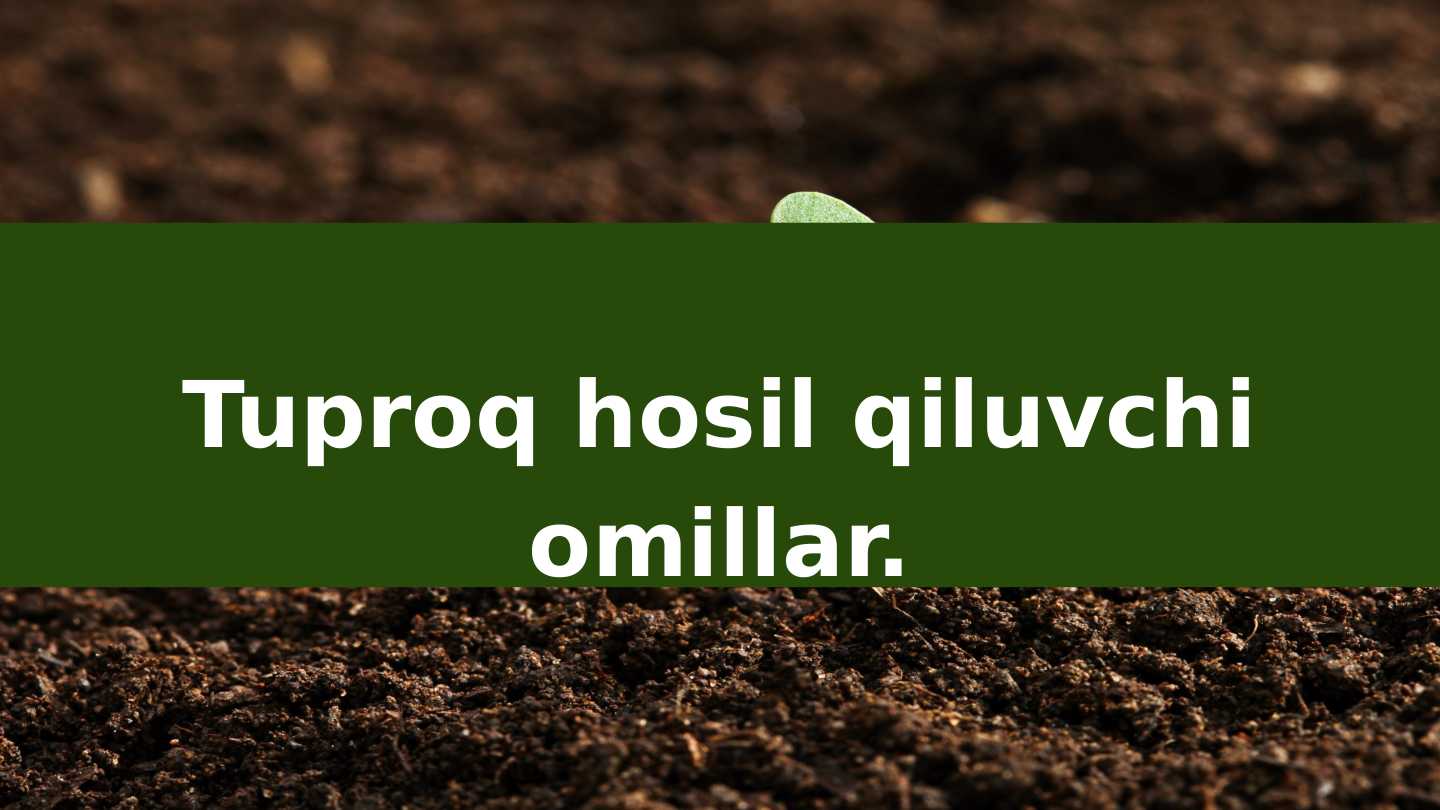 Tuproq hosil qiluvchi omillar.