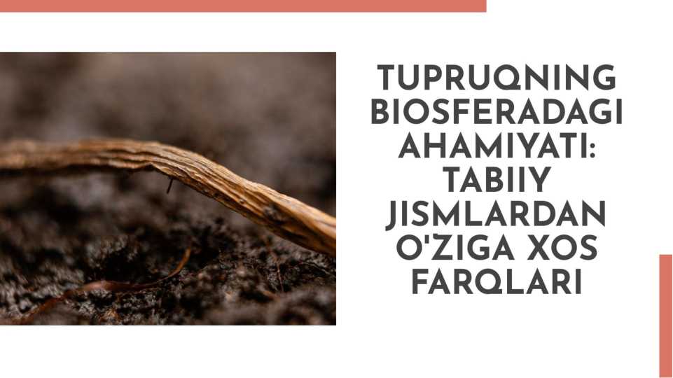 tuproq va uning xususiyatlari