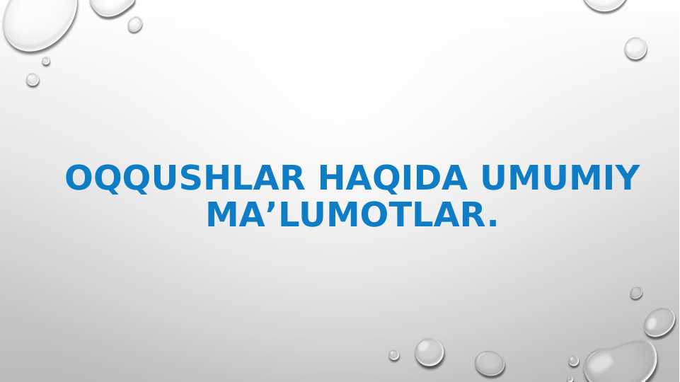 Oqqushlar haqida umumiy maʼlumotlar. pptx