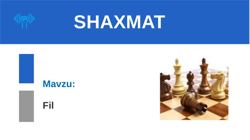 Shaxmat (fil) kombinatsiyalari