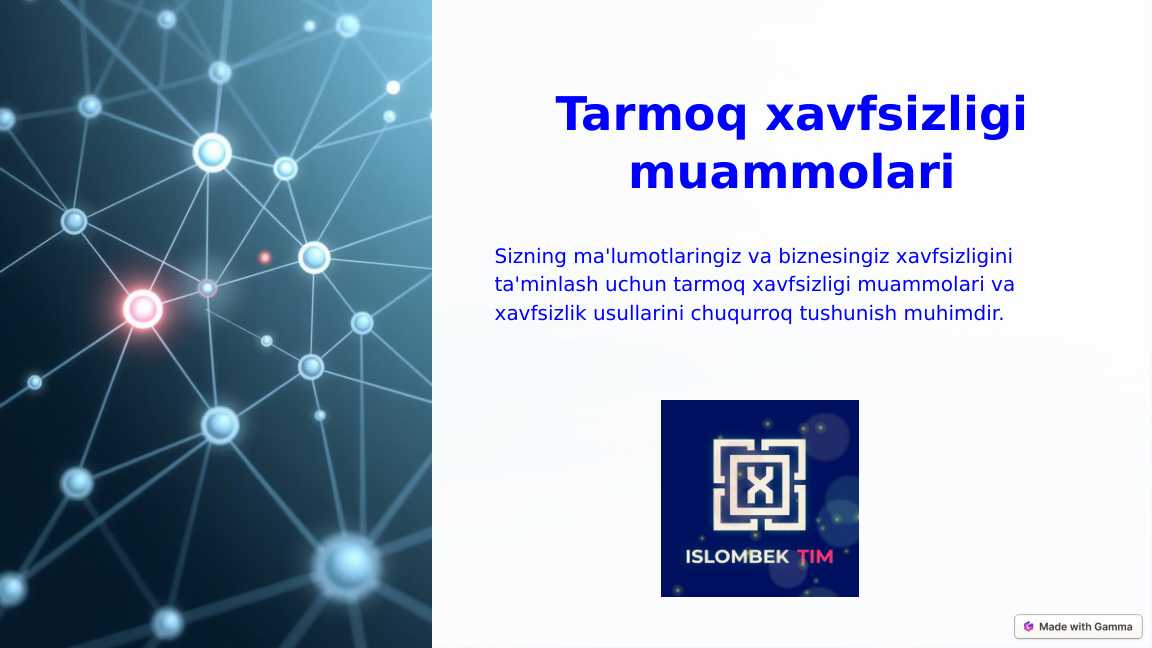 Tarmoq havfsizligi muammolari