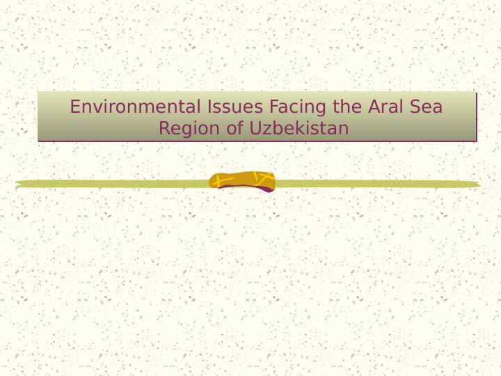 Environmental Issues Facing the Aral Sea Region of Uzbekistan