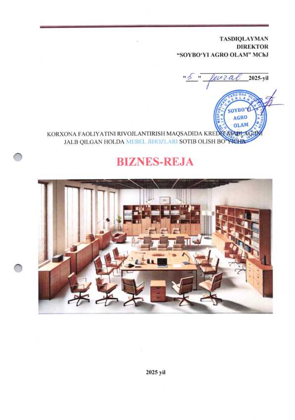 Mebel jihozlar sotib olish bo'yicha biznes reja
