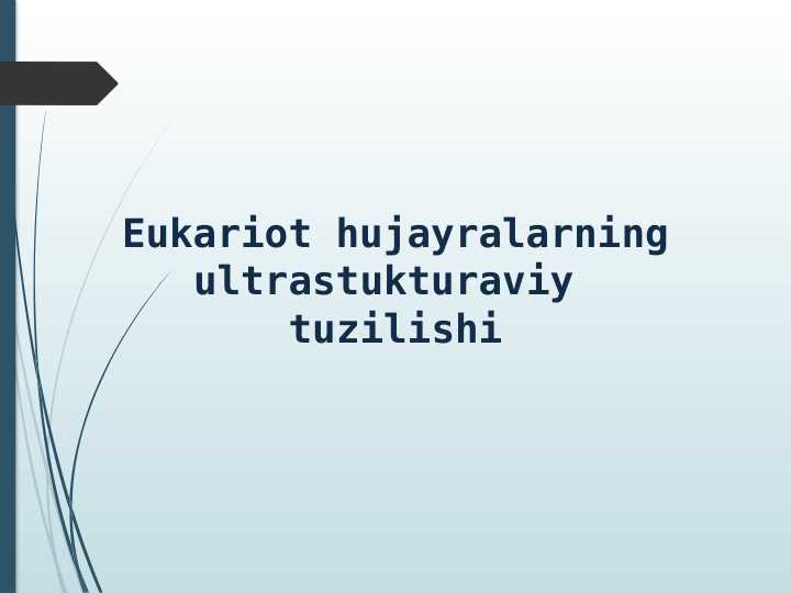Eukariot hujayralarning ultrastukturaviy tuzilishi