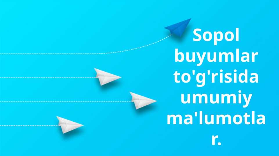 Sopol buyumlar to'g'risida umumiy ma'lumotlar.