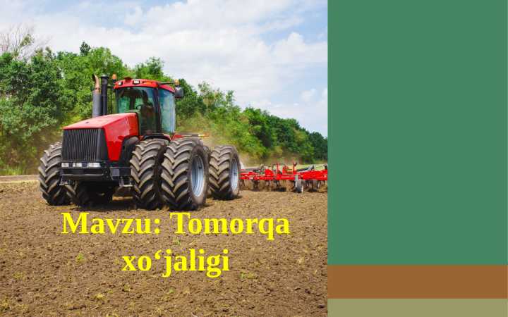 Tomorqa xo‘jaligi