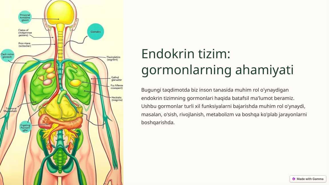 Endokrin tizim: gormonlarning ahamiyati