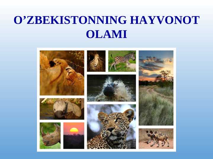 O‘zbekistonning hayvonot olami
