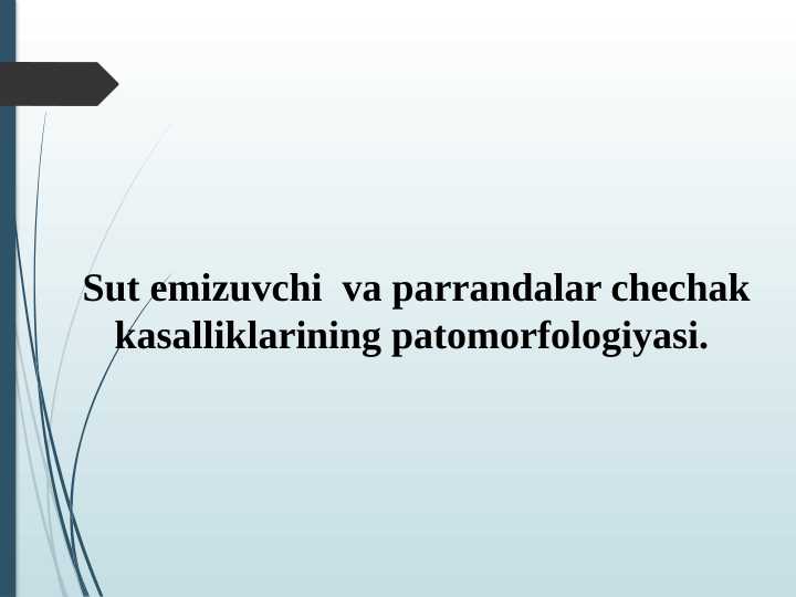 Sut emizuvchi va parrandalar chechak kasalliklarining patomorfologiyasi.
