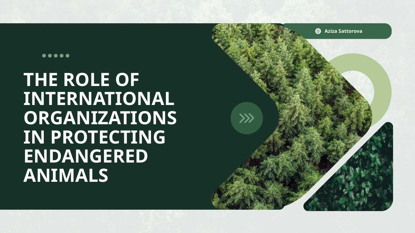 The role of international organizations in protecting endangered ...