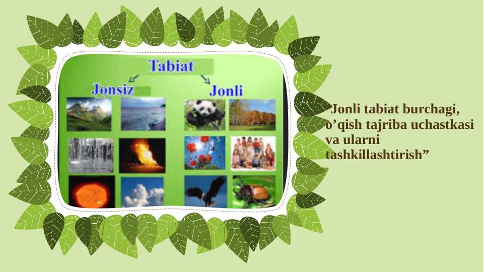 Jonli tabiat burvhagi, o'qish tarjiba uchastkasi va ularni ...