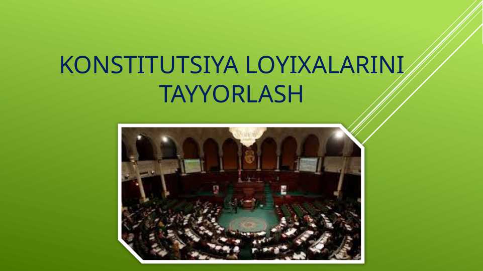 konstitutsiya loyixalarini tayyorlash