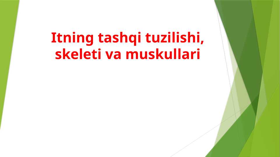 Itning tashqi tuzilishi, skeleti va muskullari