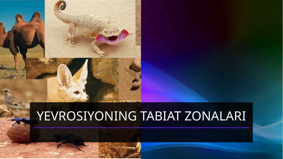 Yevrosiyoning tabiat zonalari