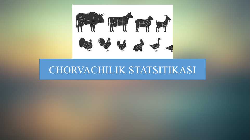 Chorvachilik statistikasi slayd