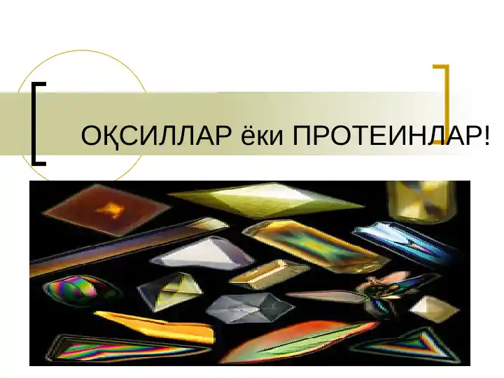 Oqsillar yoki Protoinlar