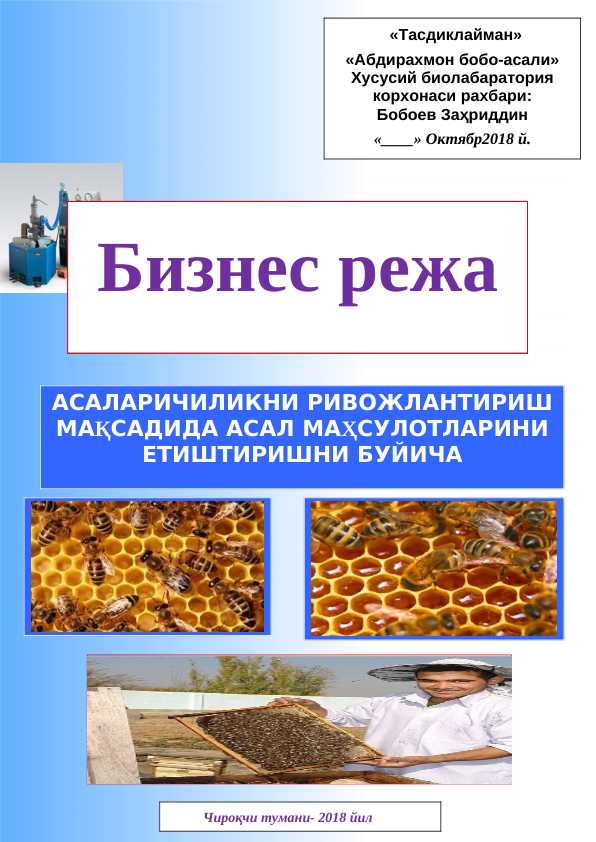 biznes reja: asal ishlab chiqarish (namuna)