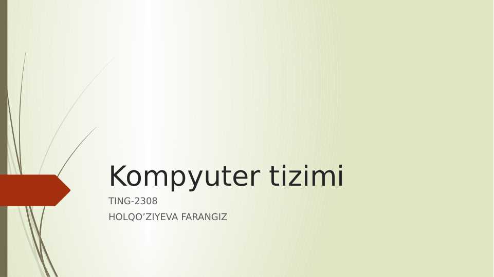 Kompyuter tizimi