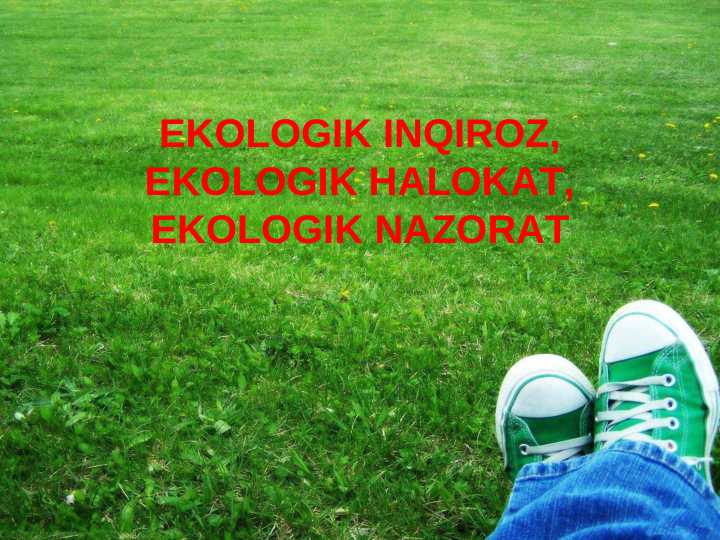 EKOLOGIK INQIROZ, EKOLOGIK HALOKAT, EKOLOGIK NAZORAT