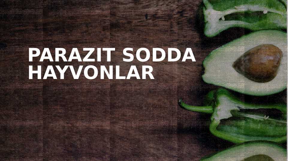 Parazit sodda hayvonlar