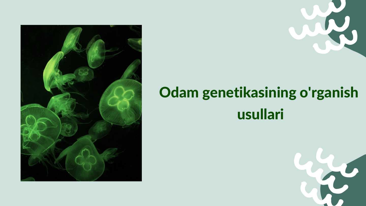 Odam genetikasi
