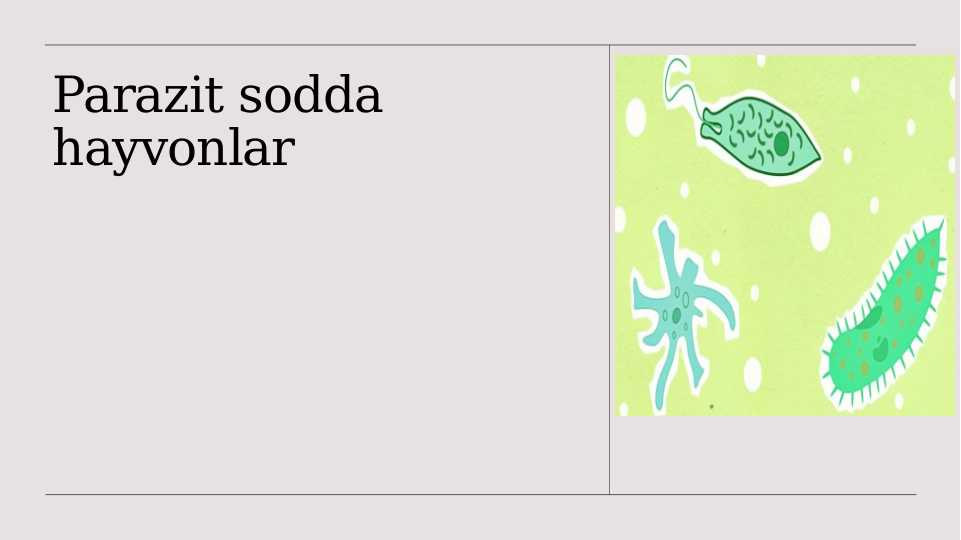Parazit sodda hayvonlar