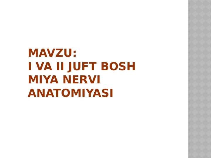 I-II juft bosh miya nervi anatomiyasi