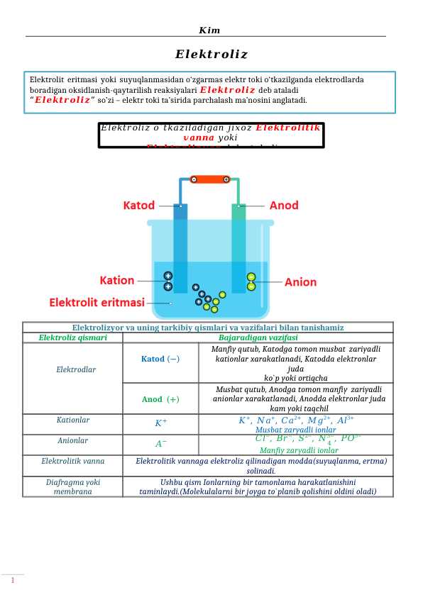 𝑬𝒍𝒆𝒌𝒕𝒓𝒐𝒍𝒊𝒛