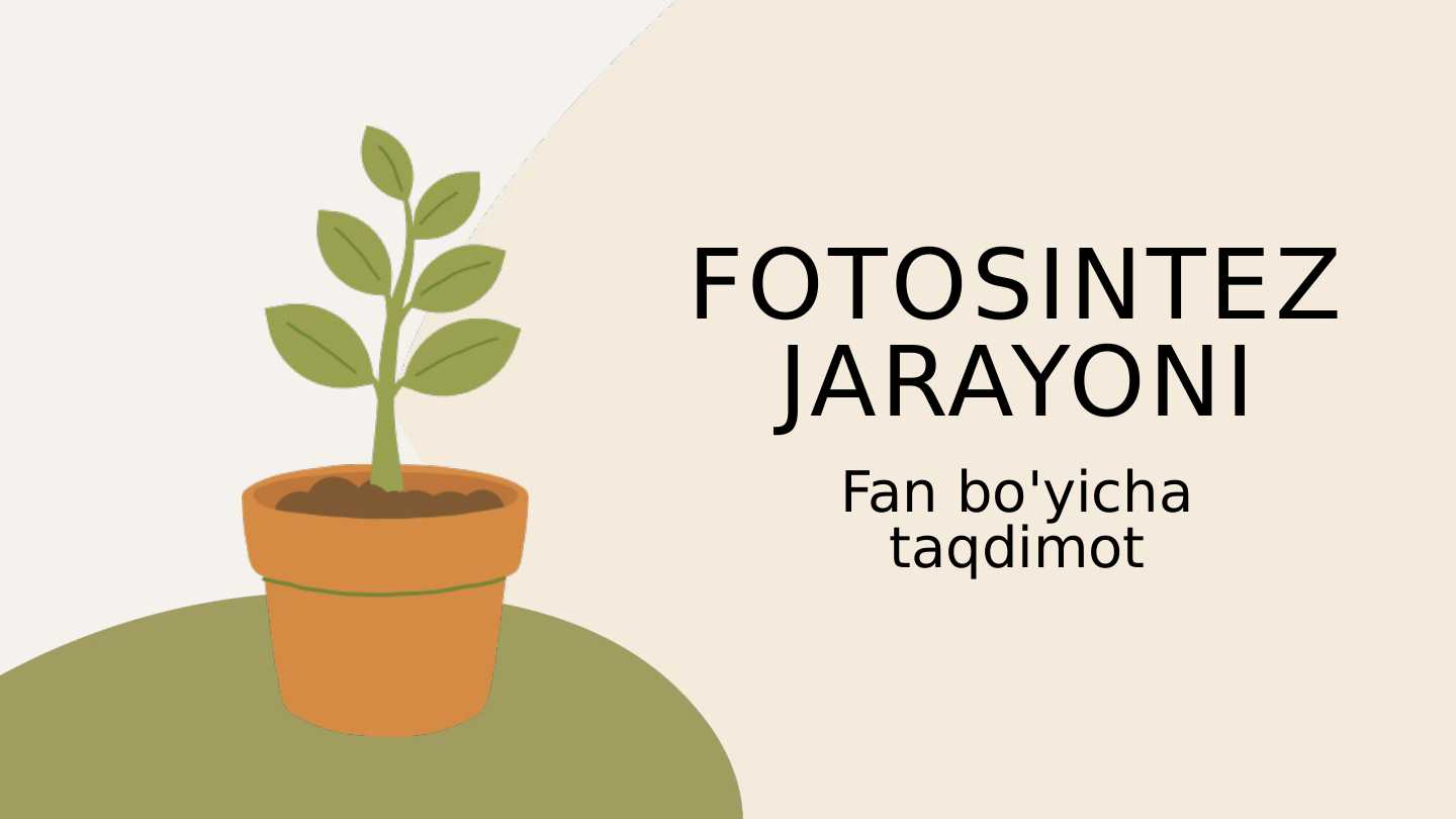 Fotosintez jarayoni