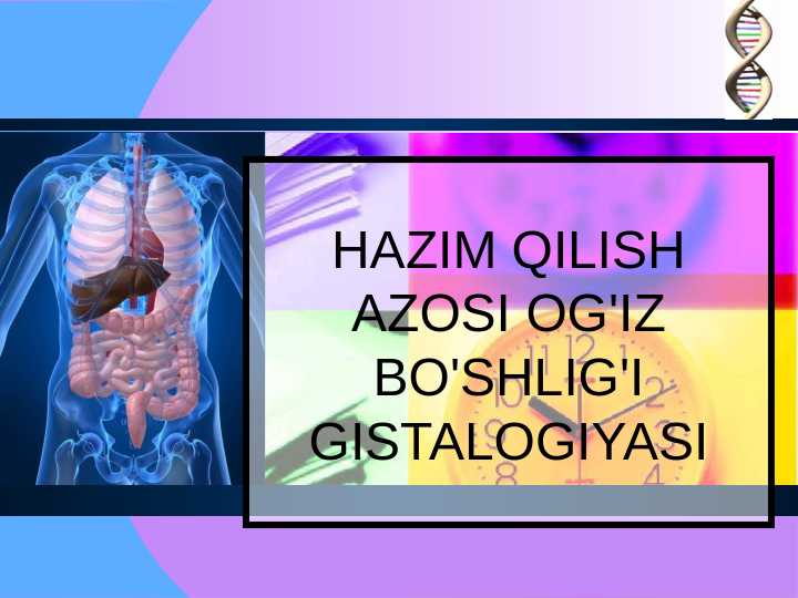 HAZM QILISH AZOSI OG'IZ BO'SHLIG'I GISTOLOGIYASI