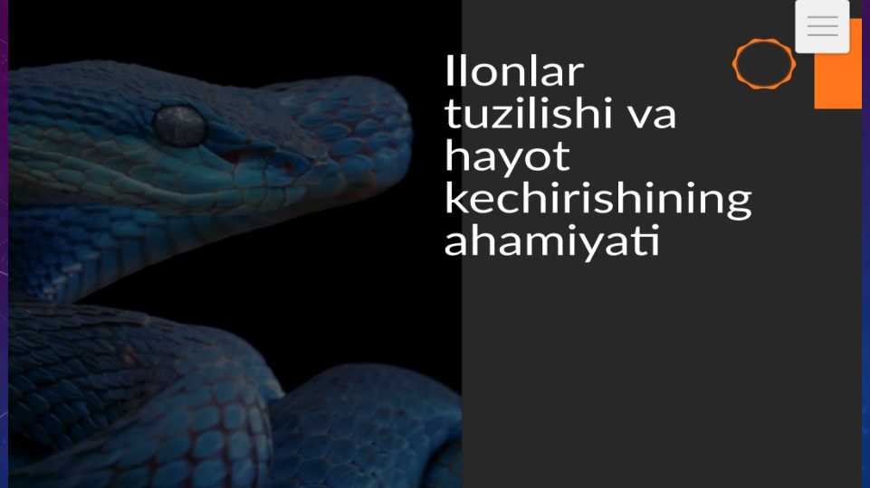 Ilonlar tuzilishi va hayot kechirishining ahamiyati