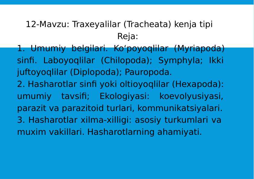 12-Mavzu: Traxeyalilar (Tracheata) kenja tipi