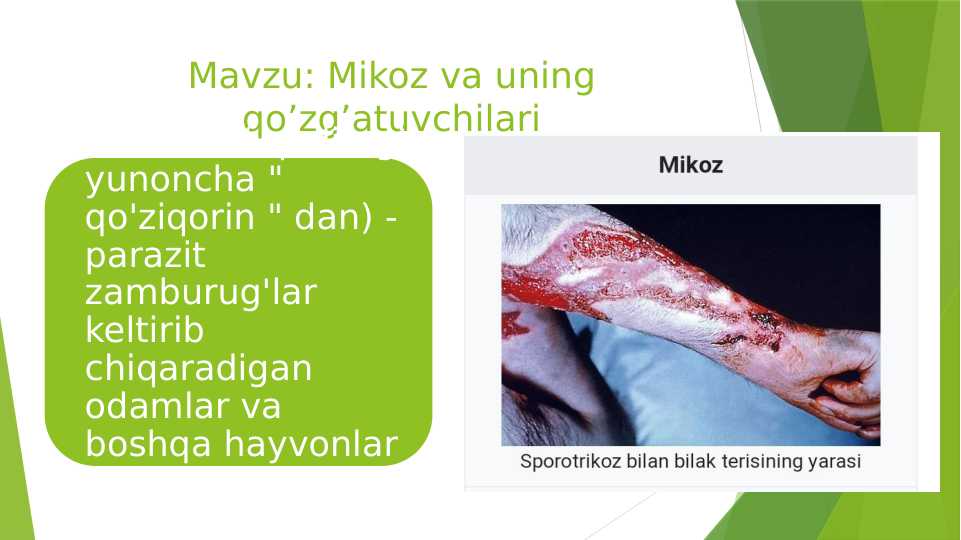 Mikoz va uning qo’zg’atuvchilari