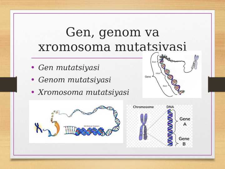 Gen, genom va xromosoma mutatsiyasi