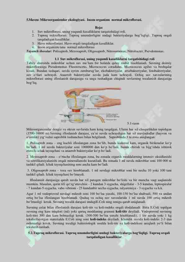 Mikroorganizmlar ekologiyasi. Inson organizm normal mikroflorasii