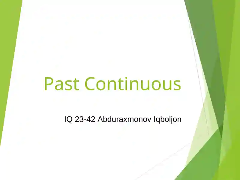 Past Continuous