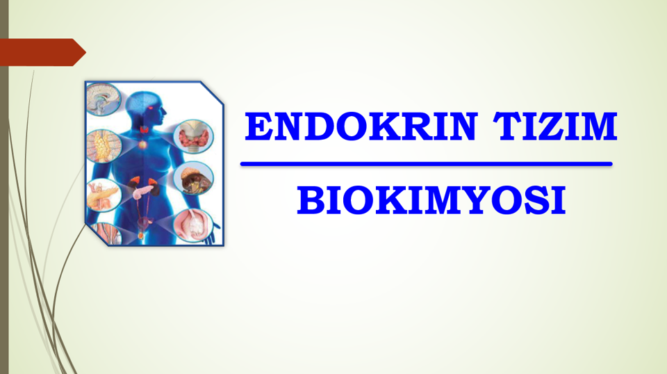 ENDOKRIN TIZIM BIOKIMYOSI