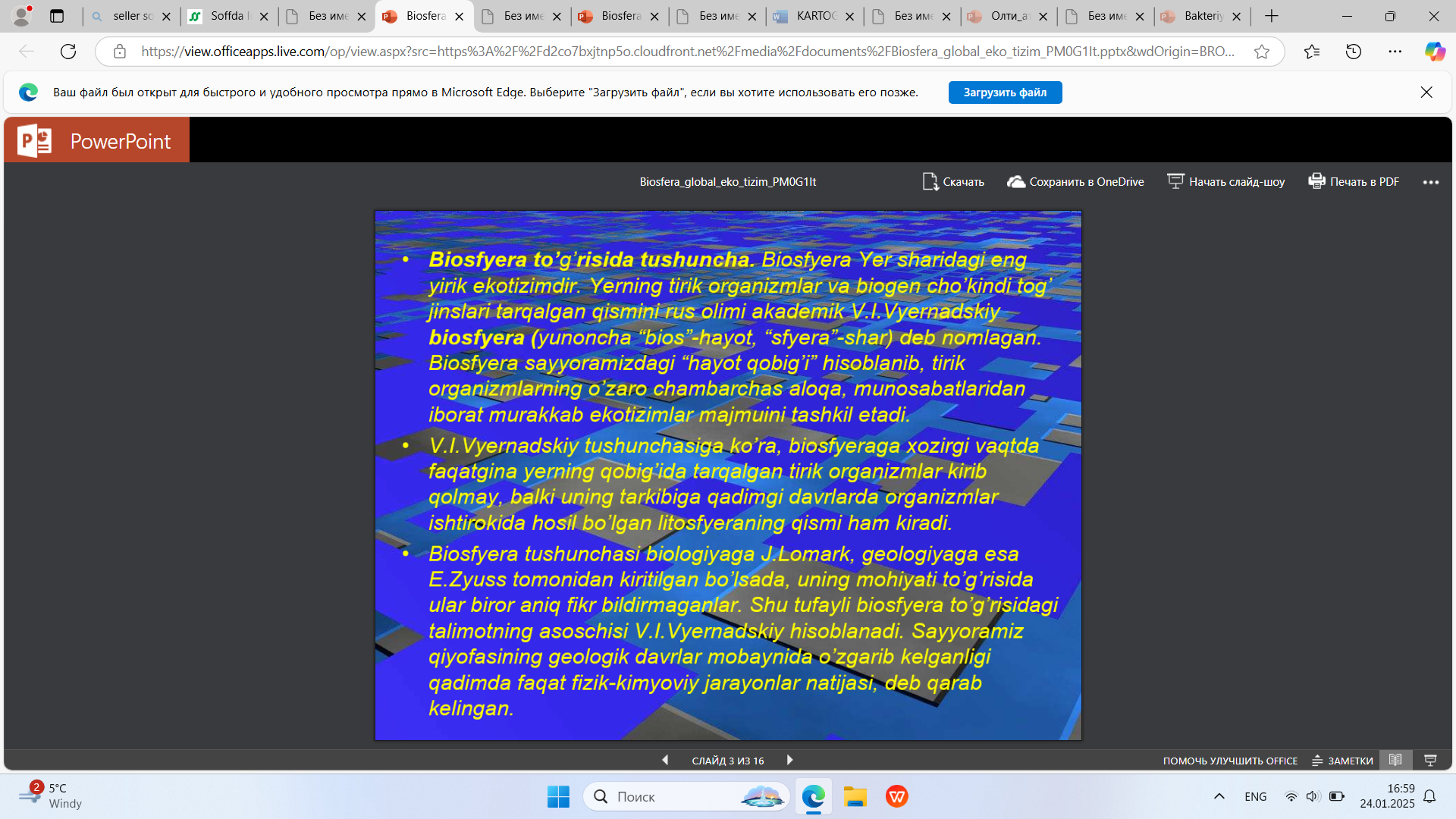 Biosfera, global eko tizim