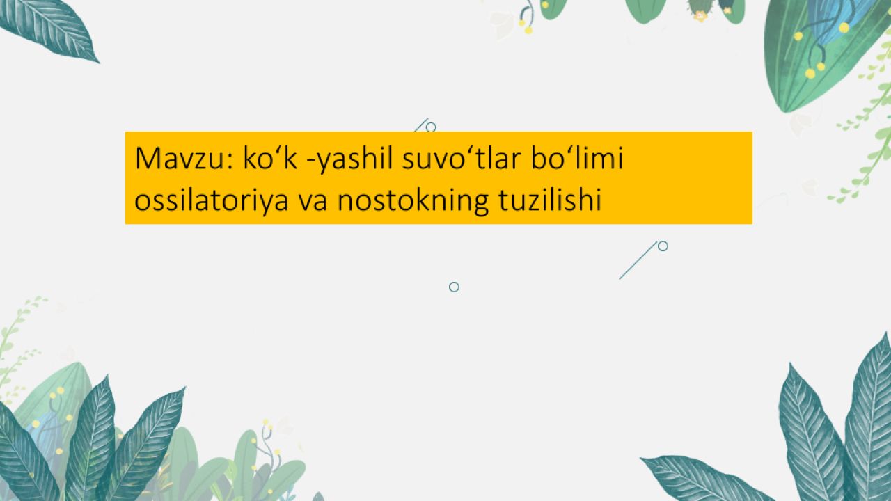 INTEGRAL XIZMATLARNING HAQIDA UMUMIY MALUMOT